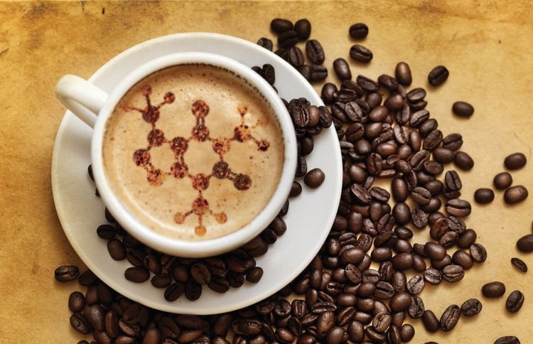 "The Science Behind Your Cup of Coffee: Understanding Coffee Brewing a ...
